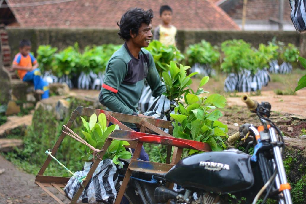 Here is the Importance of Tree Planting You Should Know - Trees4Trees ...