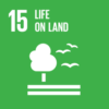 Impacts - Trees4Trees - tree planting | donate trees | reforestation