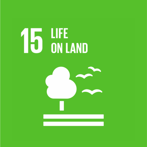 Biodiversity Restoration Impact - Trees4Trees - tree planting | donate ...
