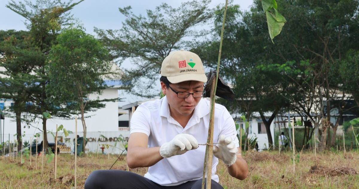 Balancing Industrial Growth with Urban Forest Planting - Trees4Trees