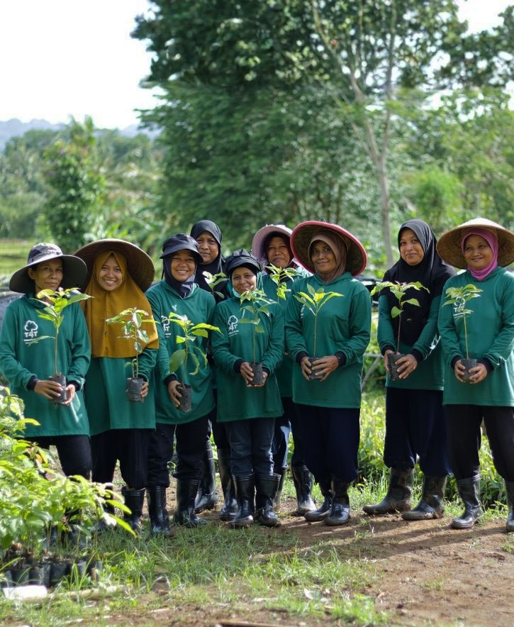 Tree Planting | Donate Trees | Reforestation | Trees4Trees